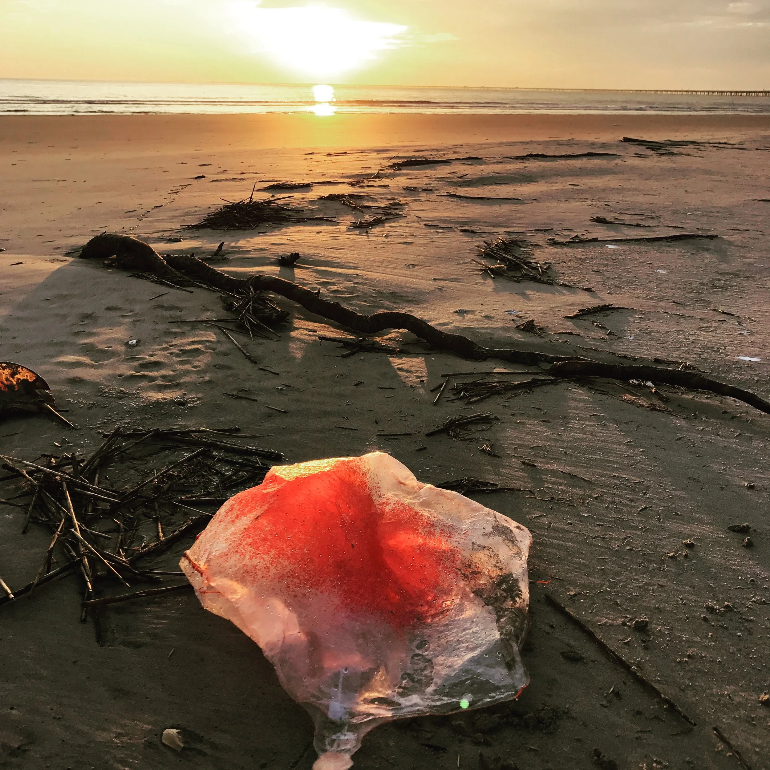 Clean Virginia Waterways