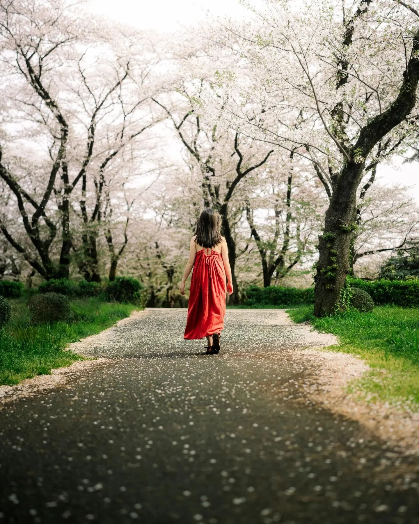 Kai Watanabe Photography