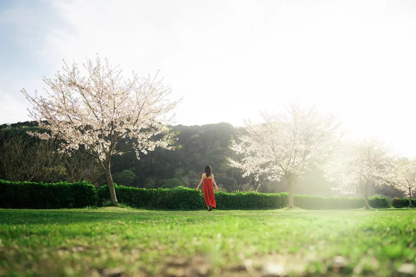 Kai Watanabe Photography