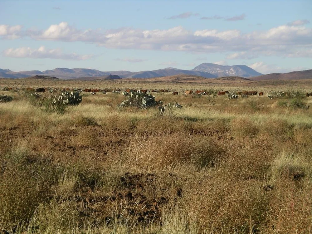 Conservation & Land Management — Malpai Borderlands Group