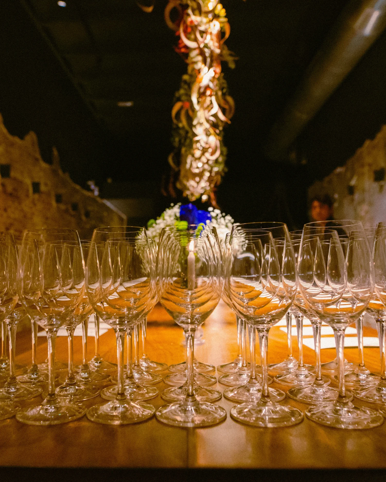 SALUT WINE STUDIO