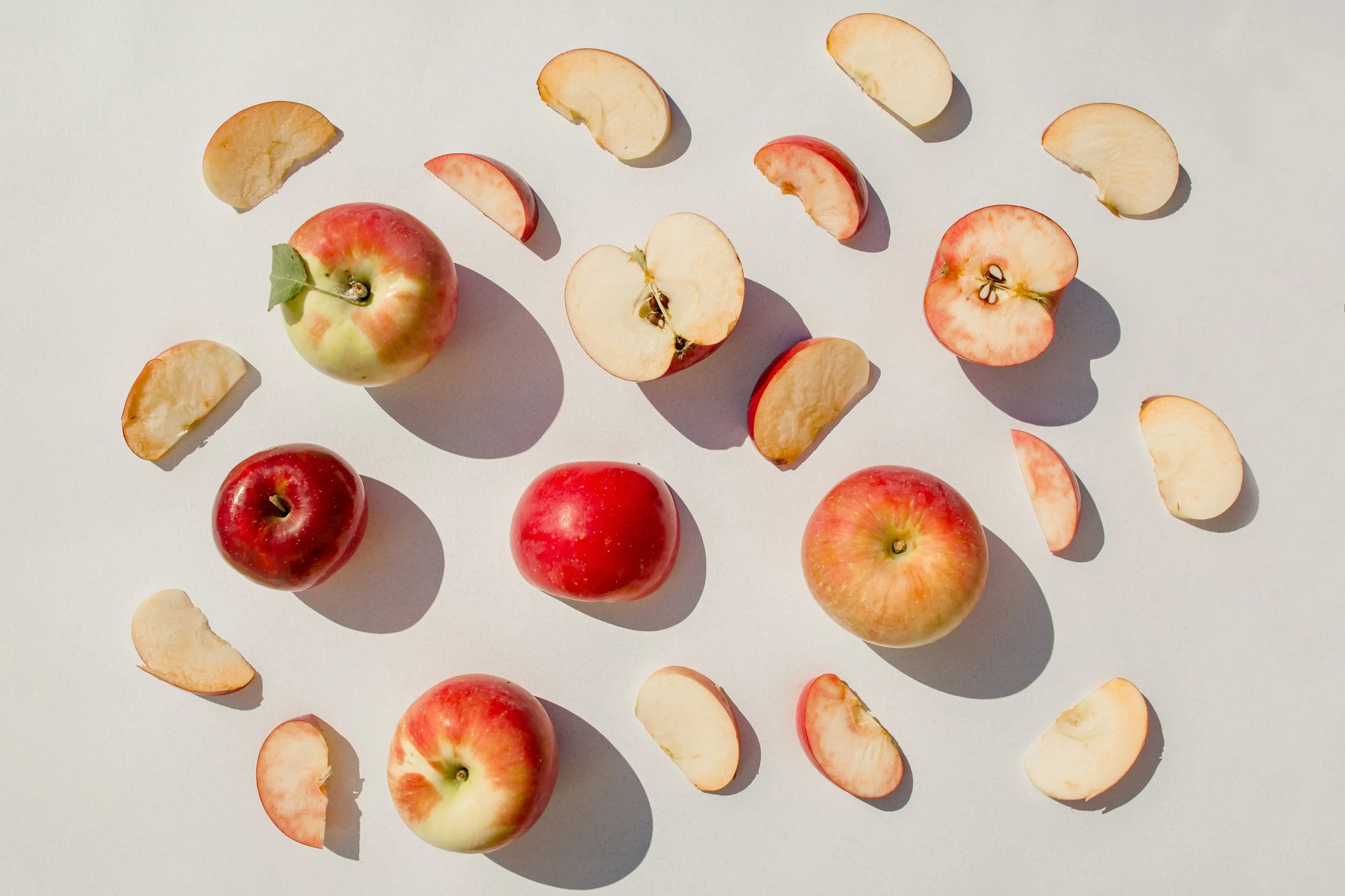 Vendors — Red River Market