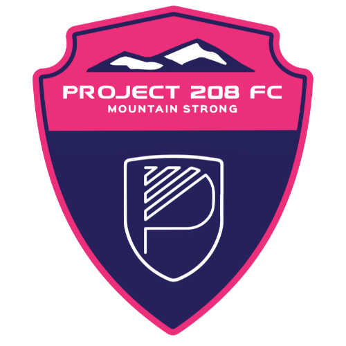 Project208FC