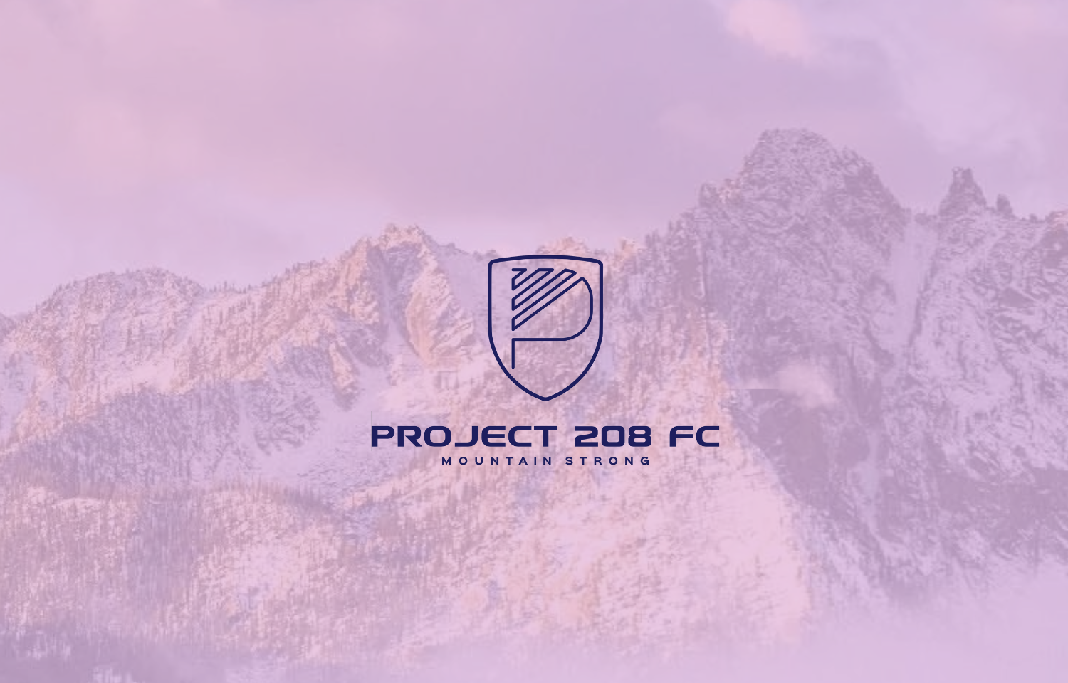 Project208FC