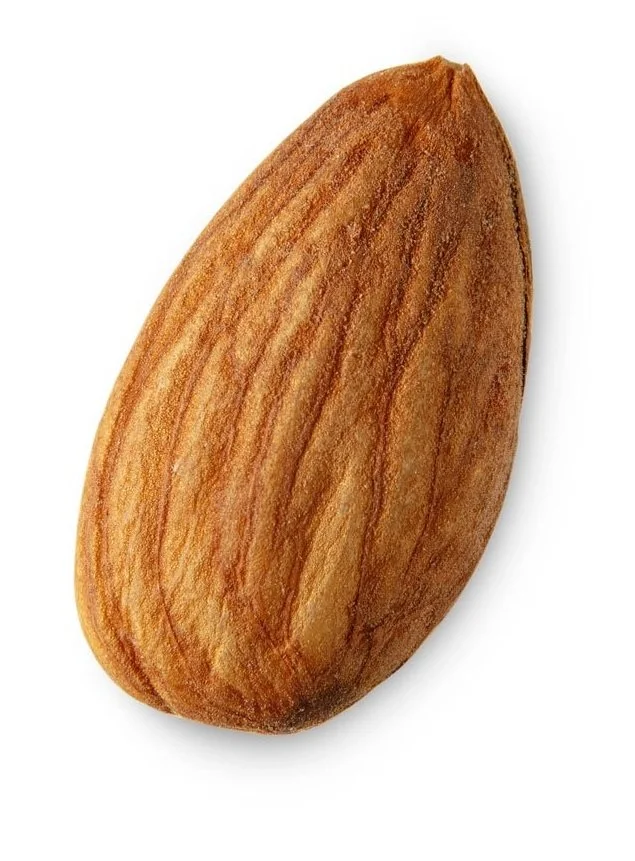 Almond and Walnut Lifecycles — Mariani Nut Company