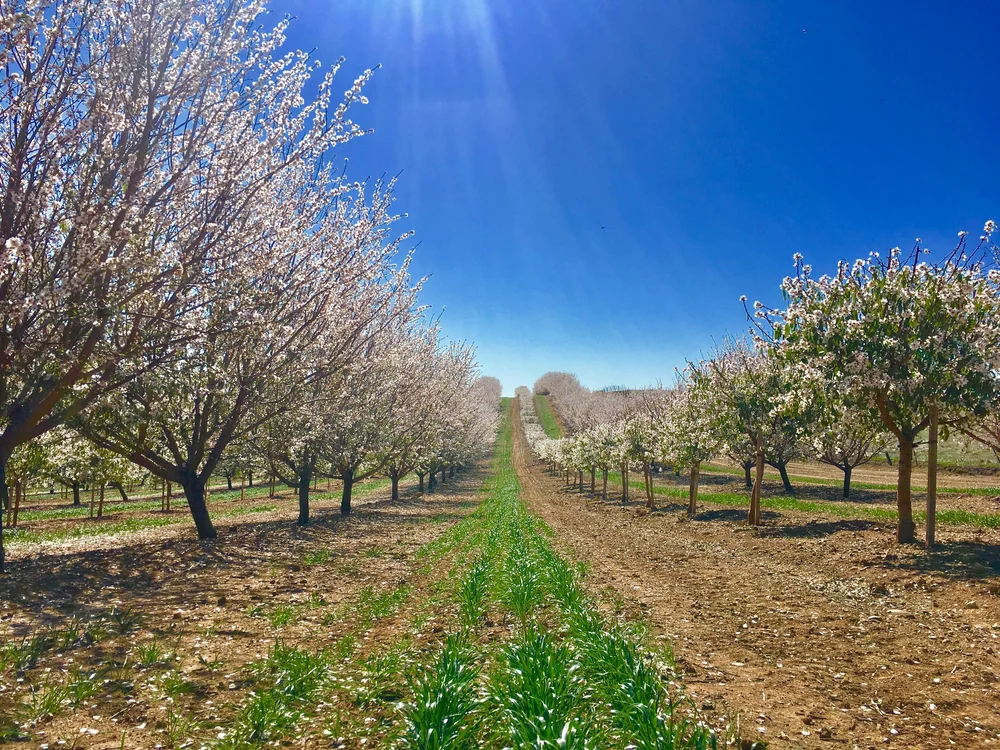 Compliance and Certification — Mariani Nut Company