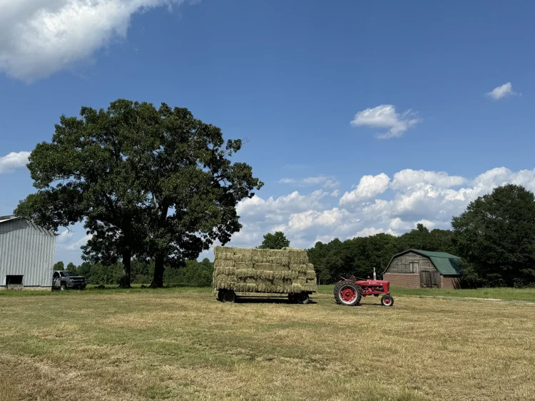 Spring Hills Farms