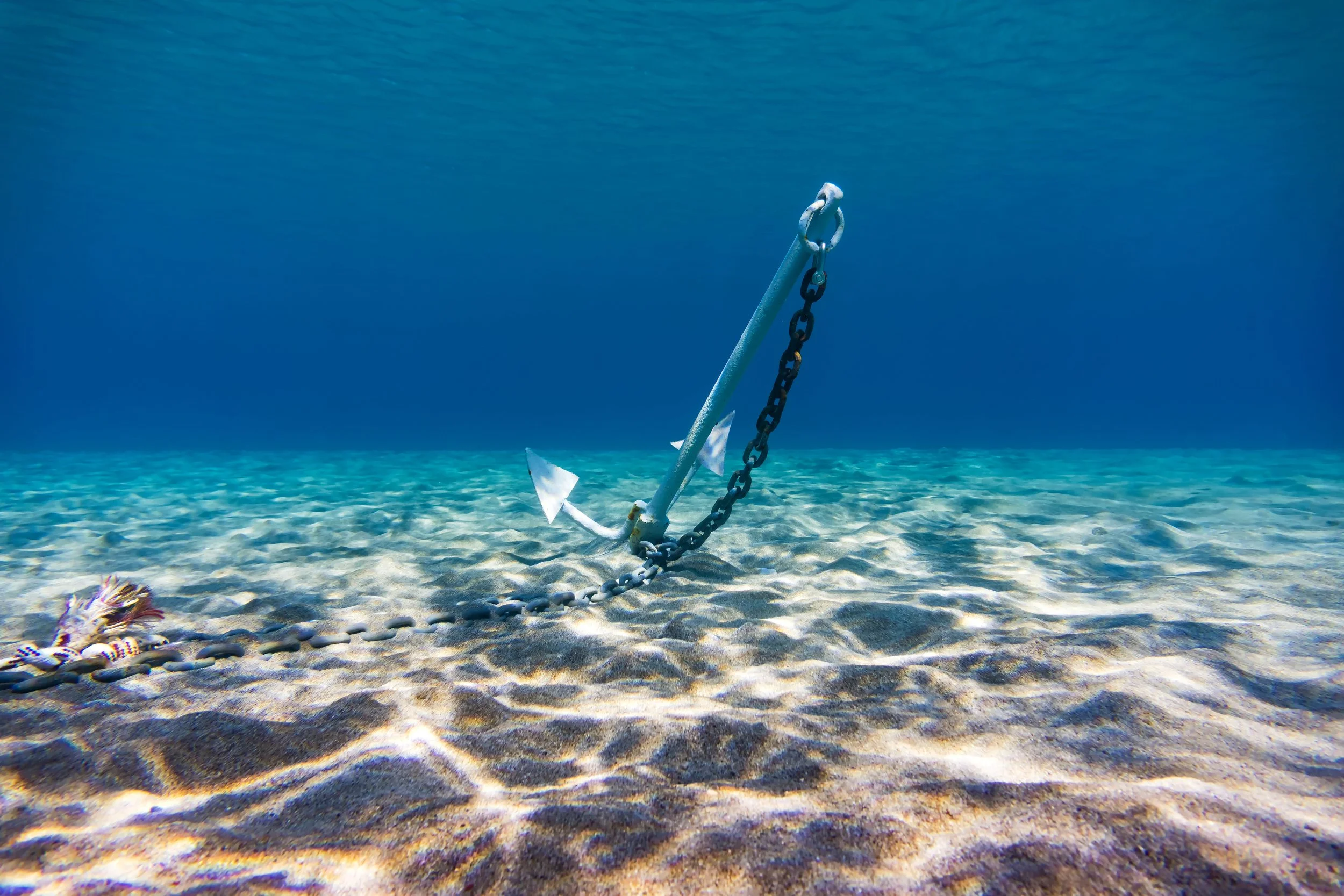 Anchoring Bias | Four Pillars Financial Planning