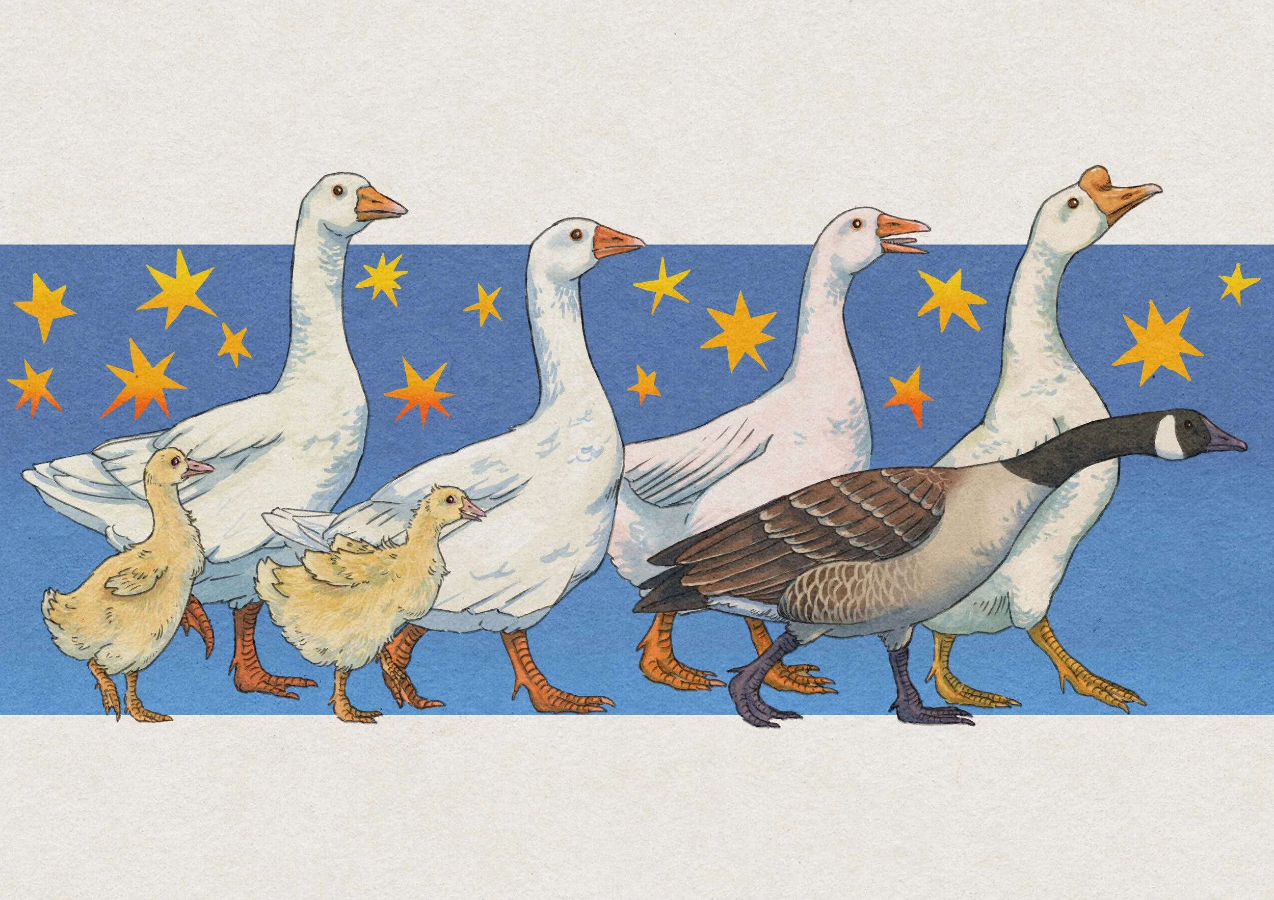 Kit Turner Illustration