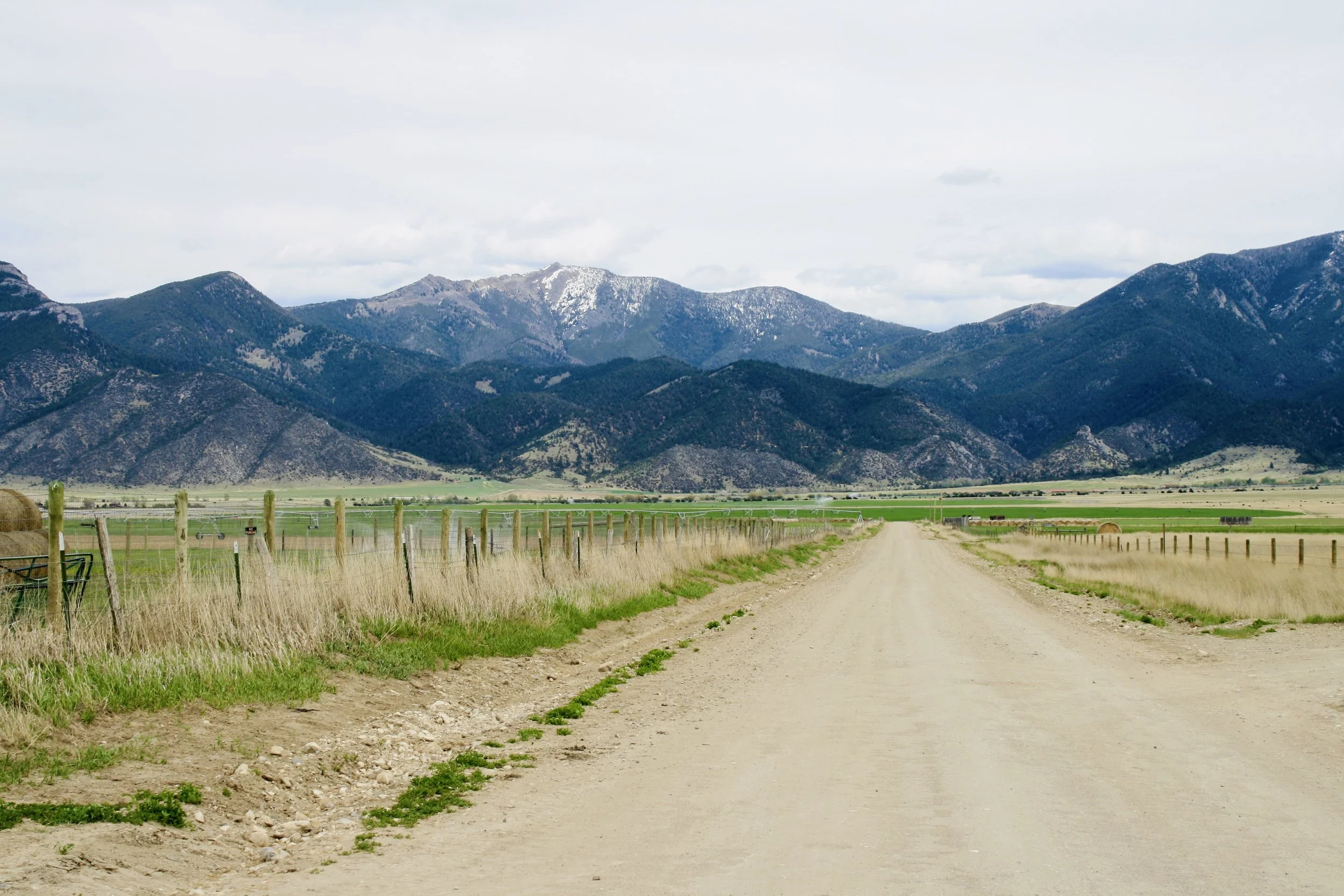 Montana cabin rentals on an alpaca breeding farm