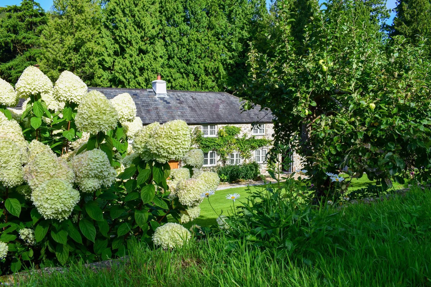 JND Landscape Studio | Creative Landscape Design & Consultancy ...