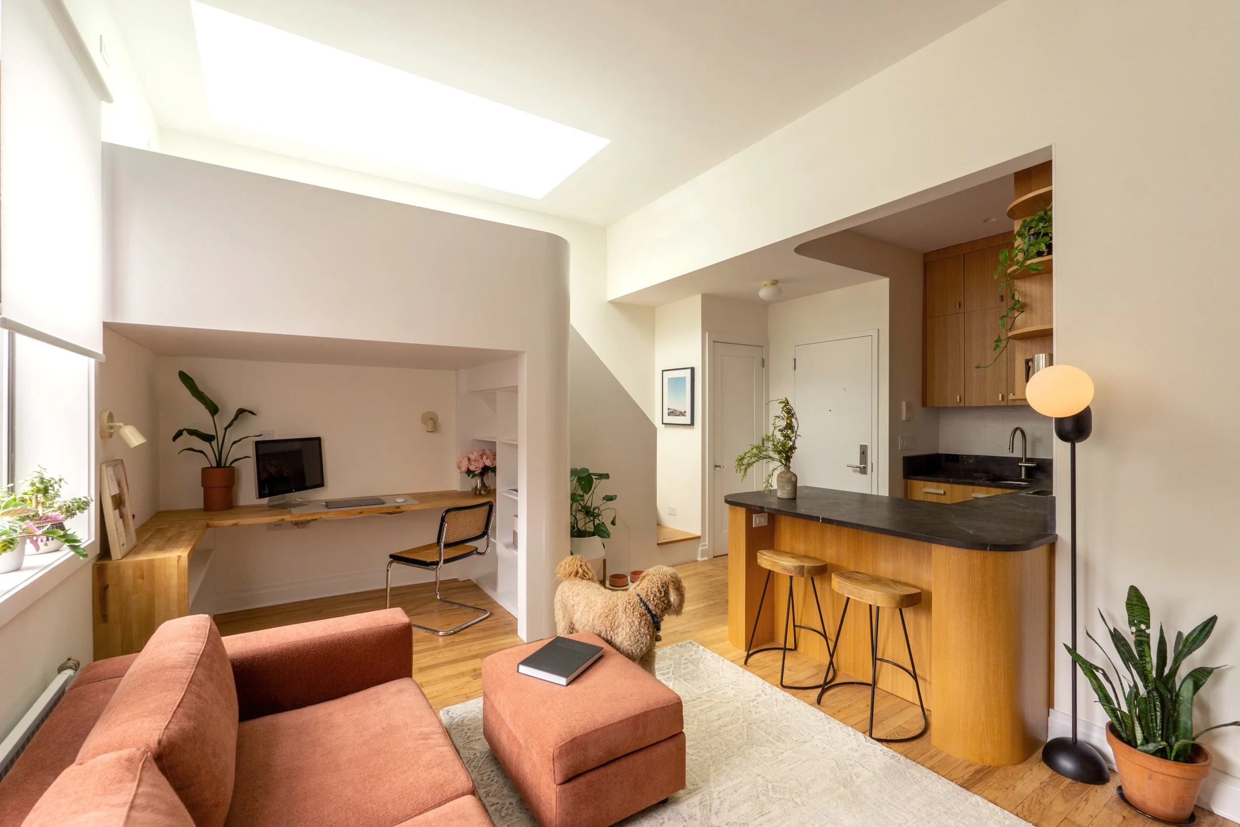 Studio Loft Renovation with Sleeping Loft in NYC — Dunham Robinson