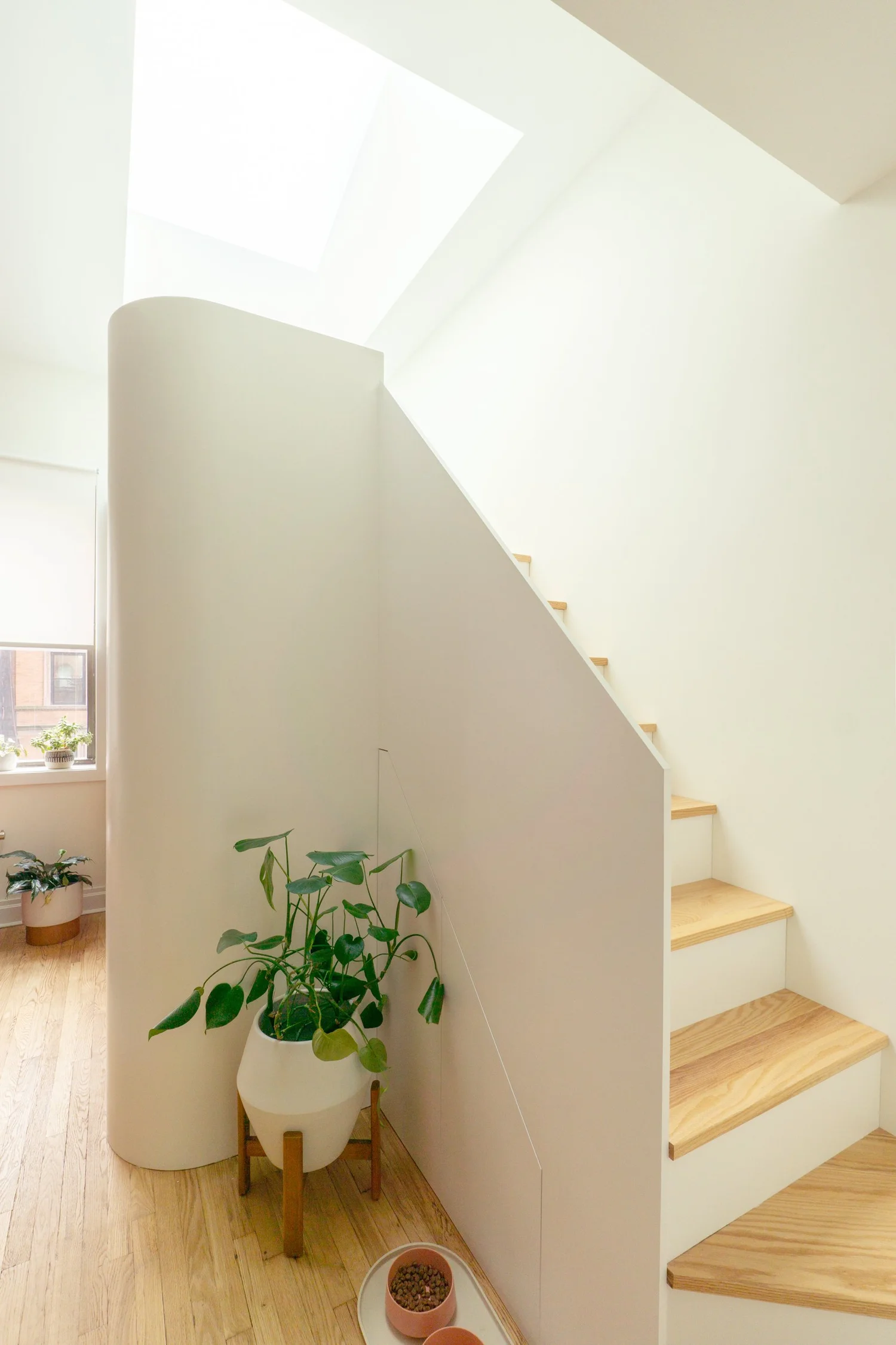 Studio Loft Renovation with Sleeping Loft in NYC — Dunham Robinson