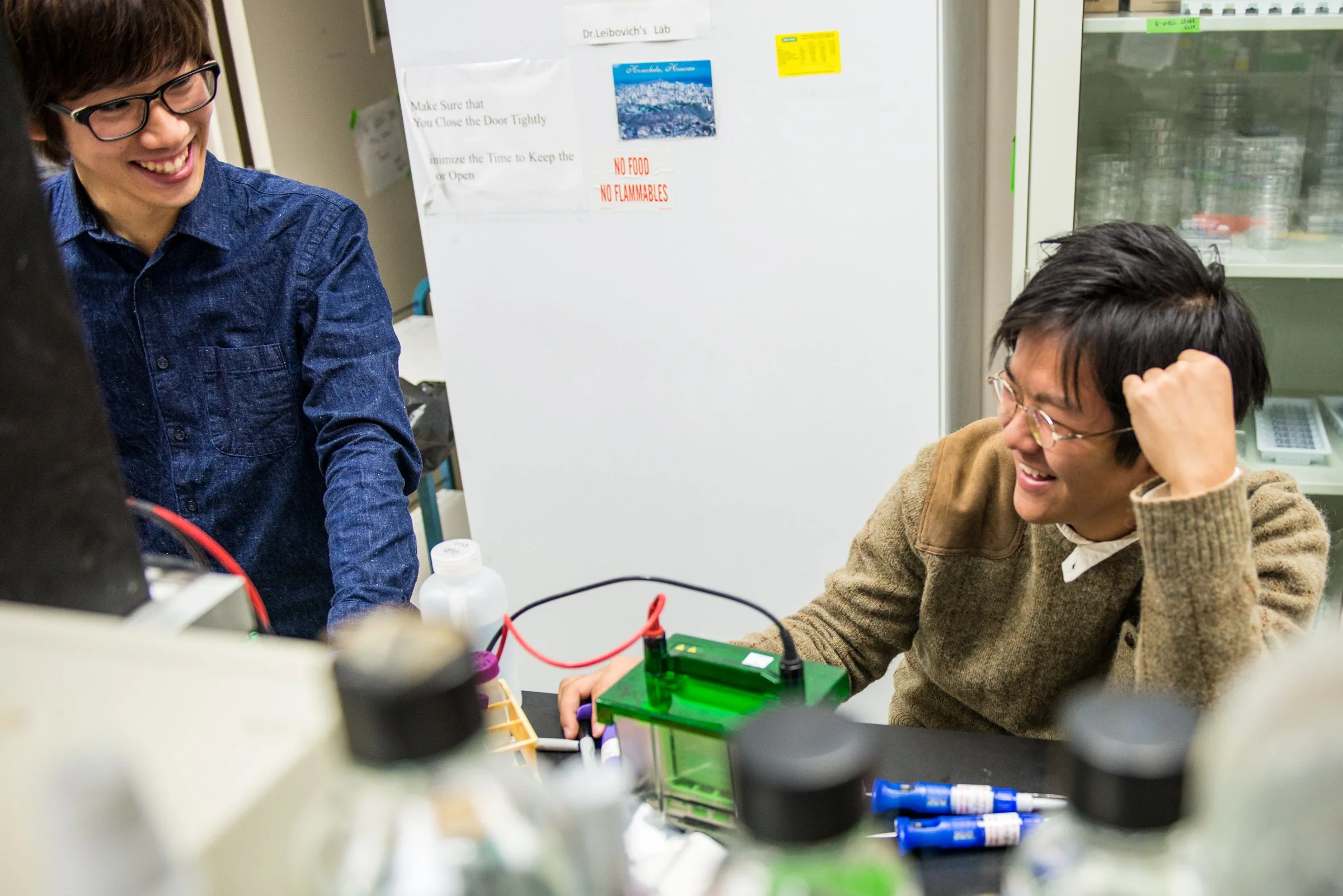 Gallery — Sadoshima Lab