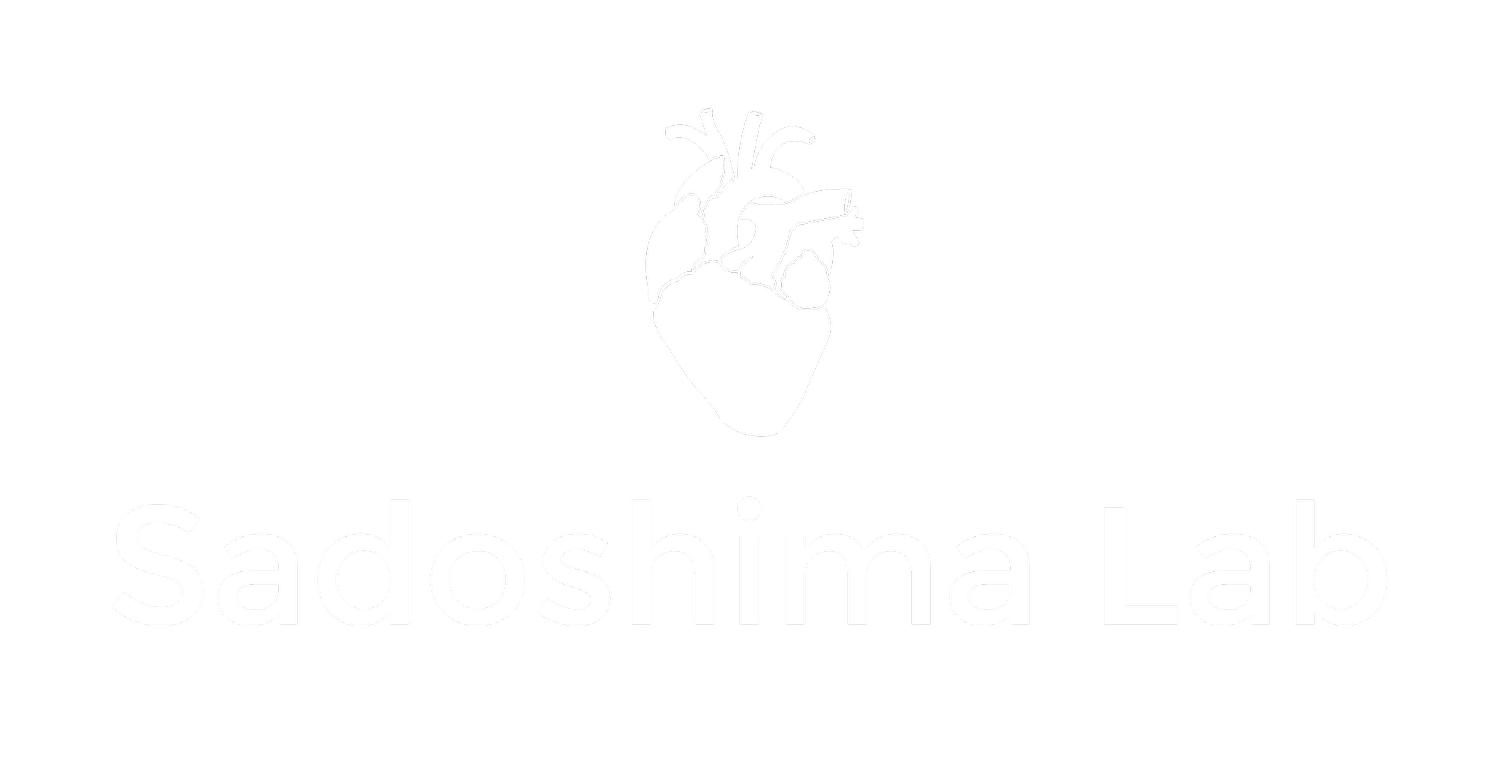 Publications — Sadoshima Lab