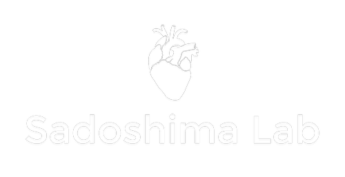 Publications — Sadoshima Lab
