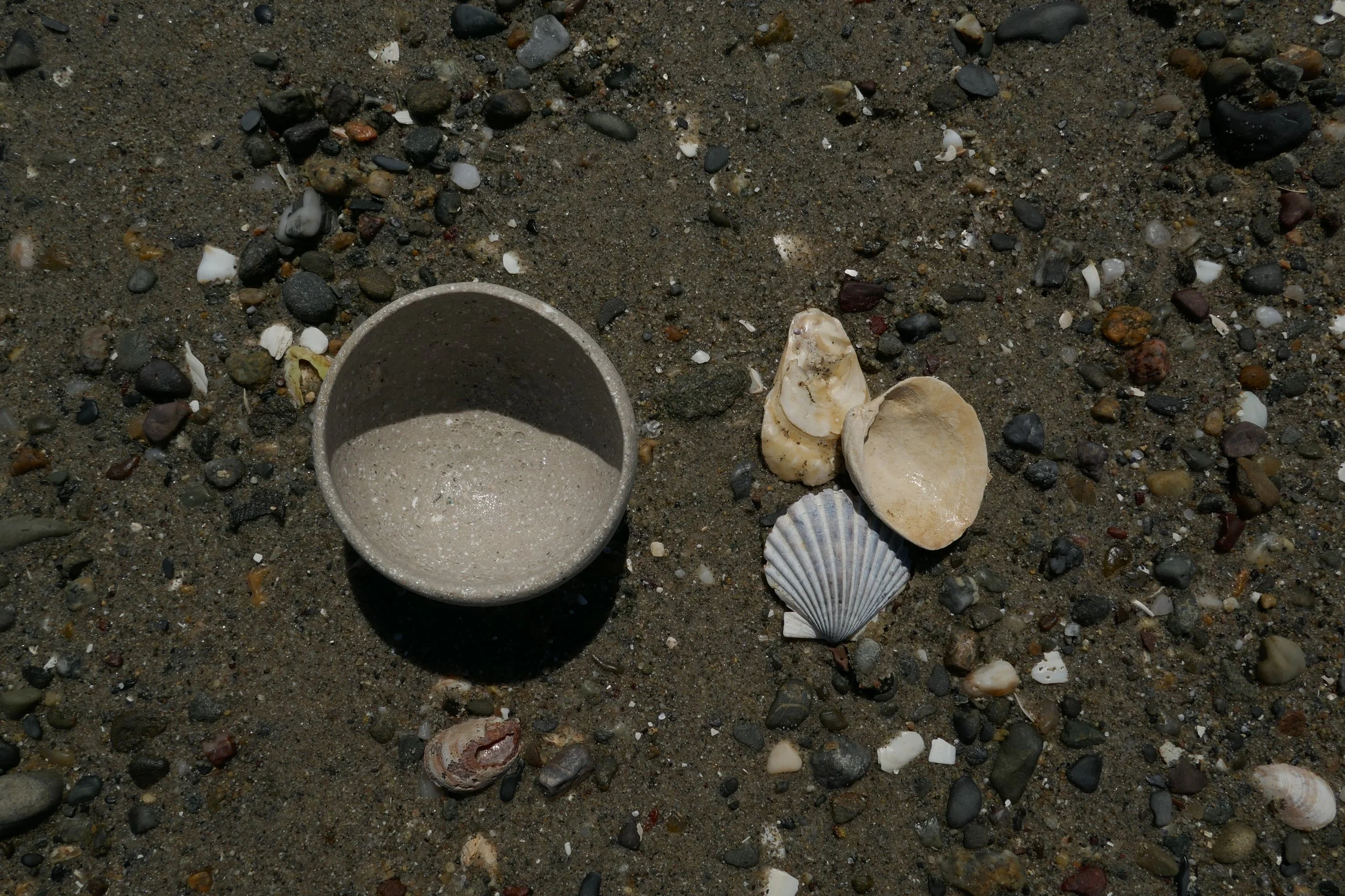 ABOUT — SHELLF LIFE