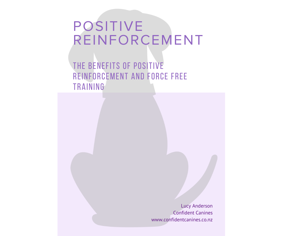 Positive Reinforcement E-Book — Confident Canines