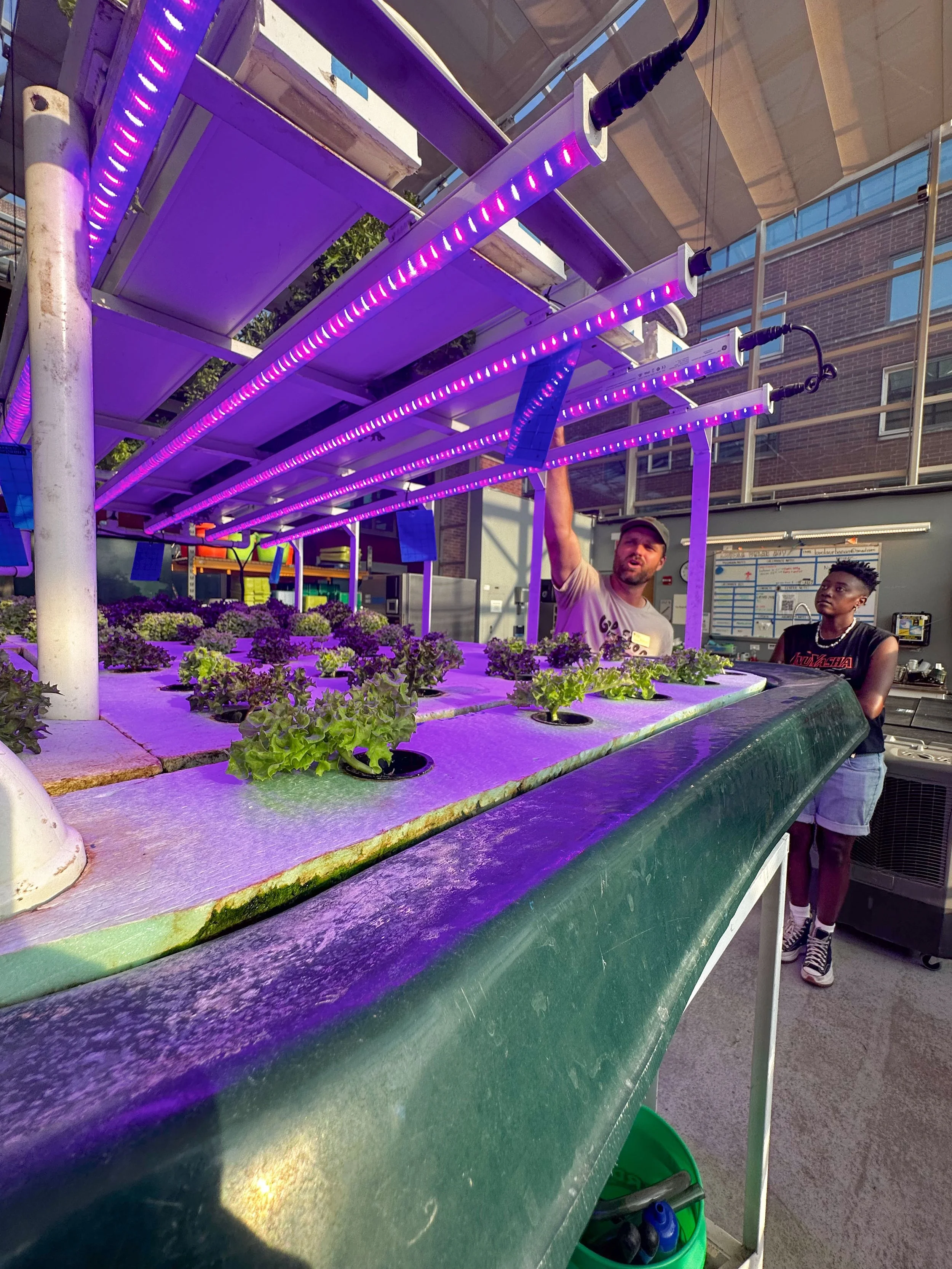 AUA transforms food access, local economies, community wellness, and ...