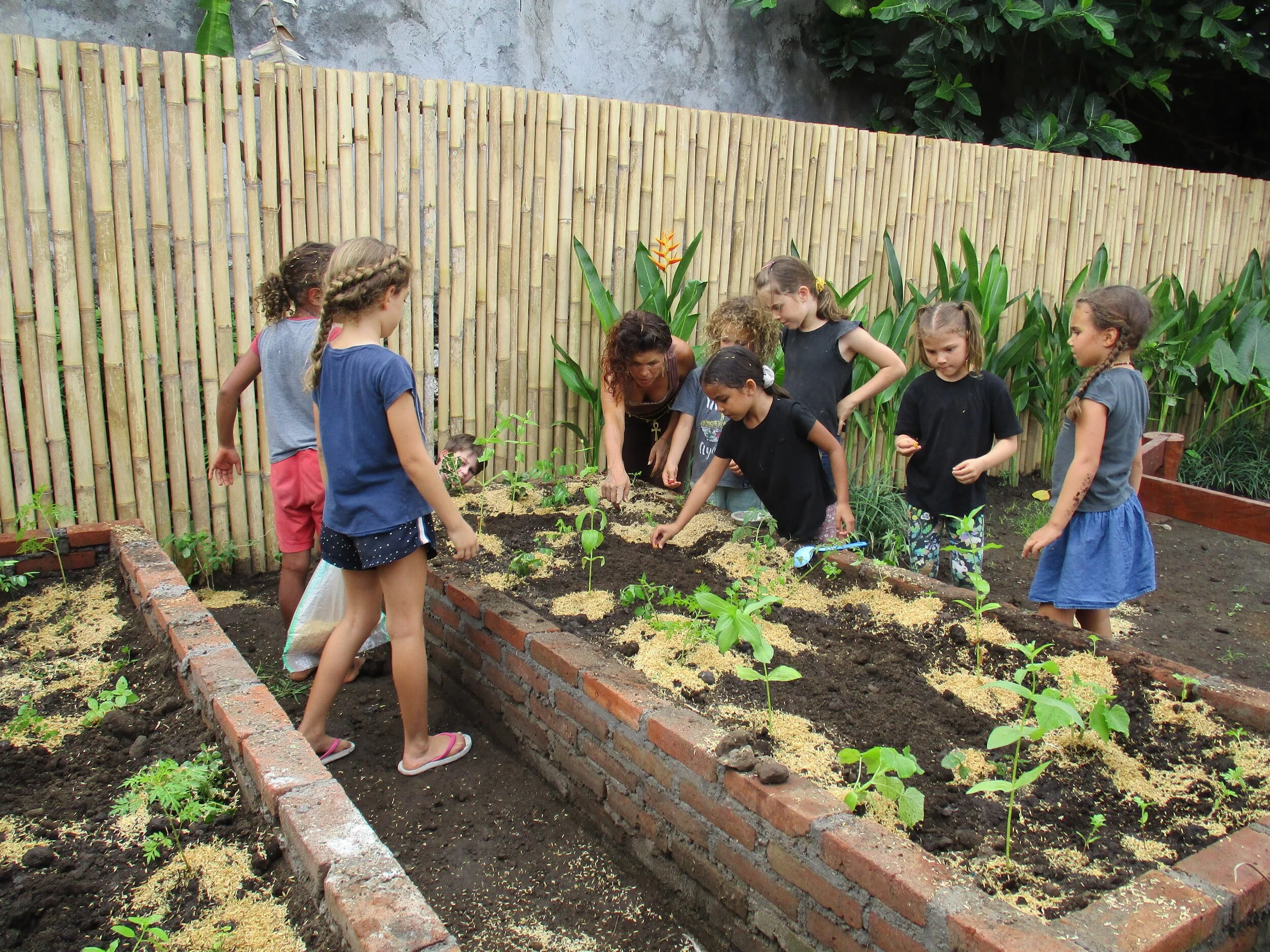 Marigold Community Learning