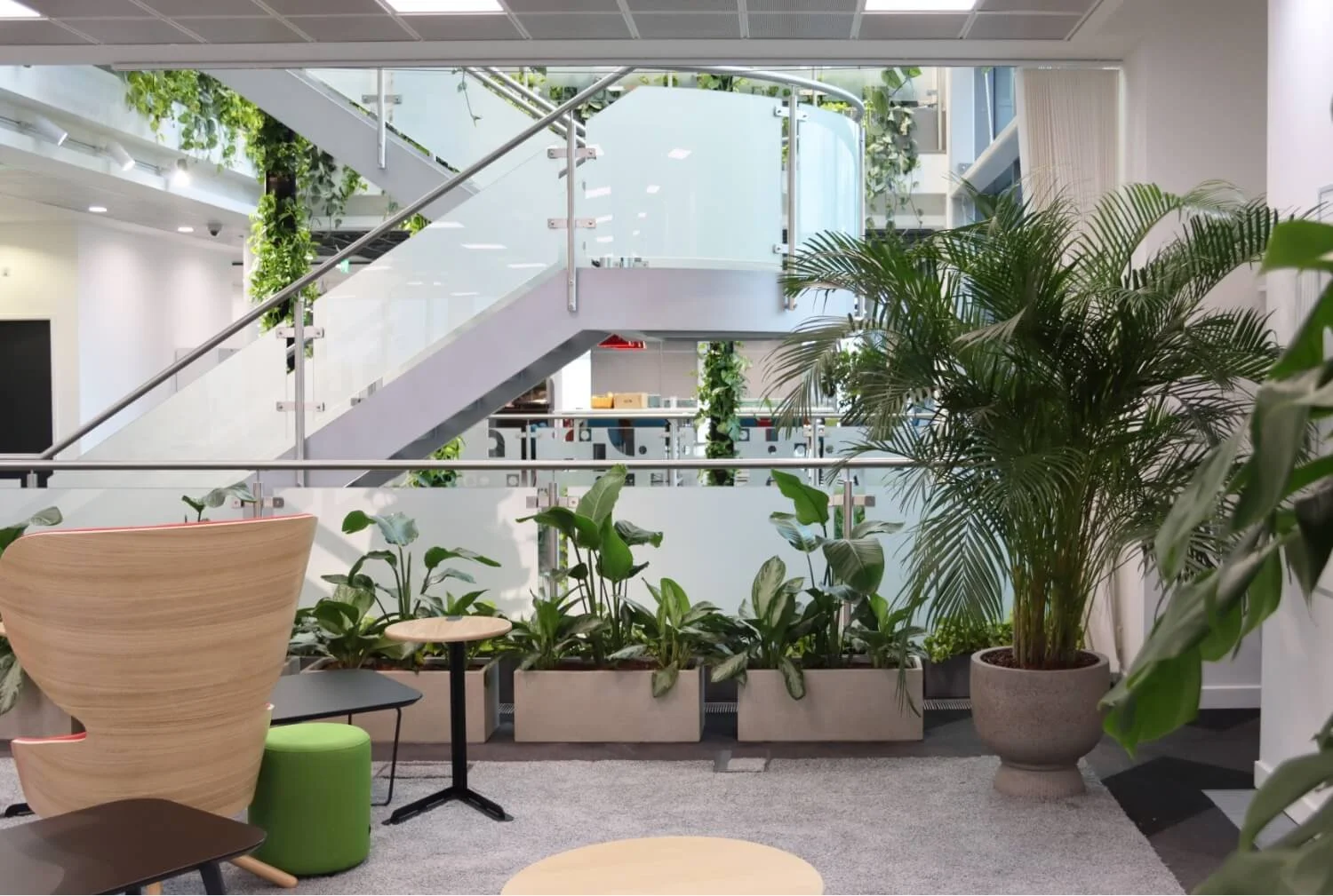 Our Work — The Good Plant Company