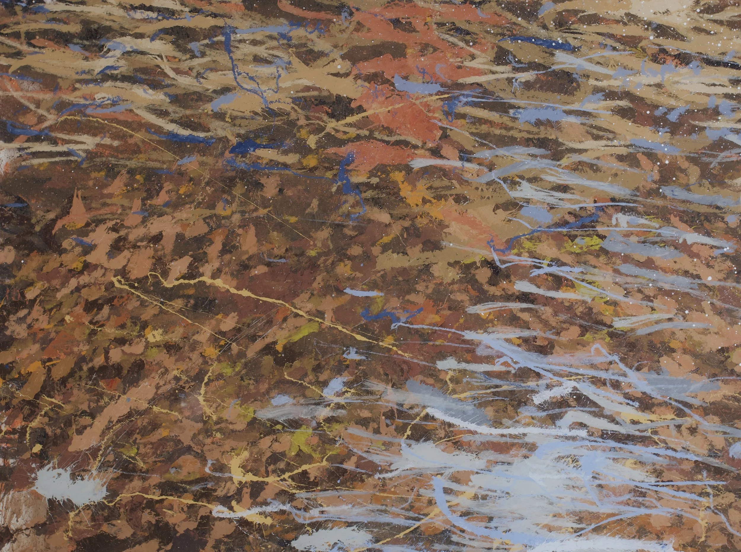 Exhibitions — OXBOW GALLERY