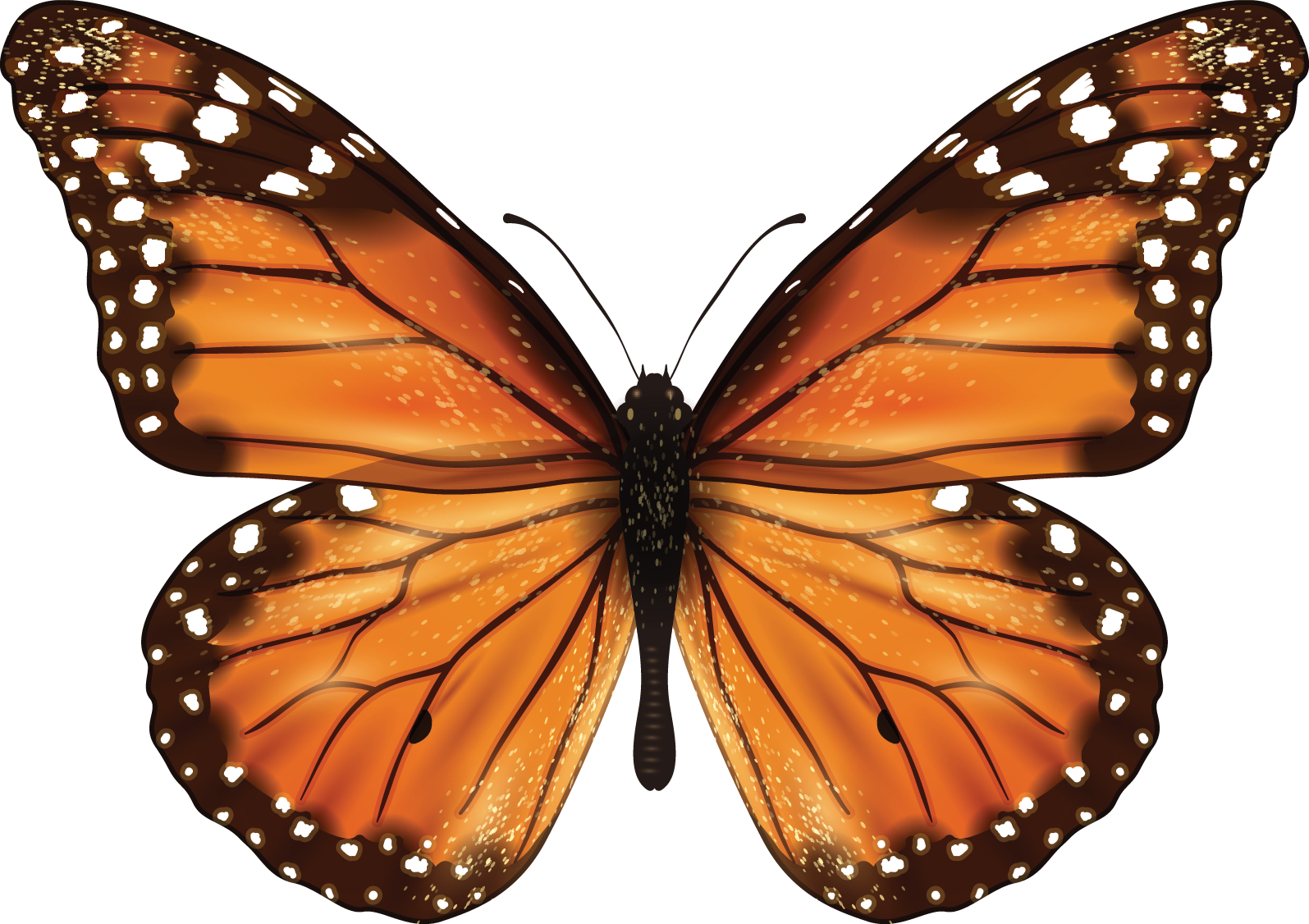 Monarchs in the Rough — Audubon International