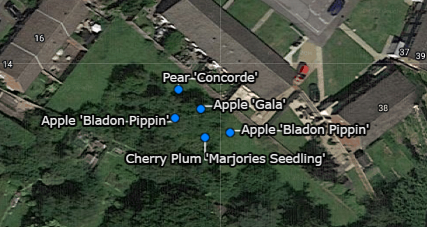 Orchards & Trees — EcoSoco