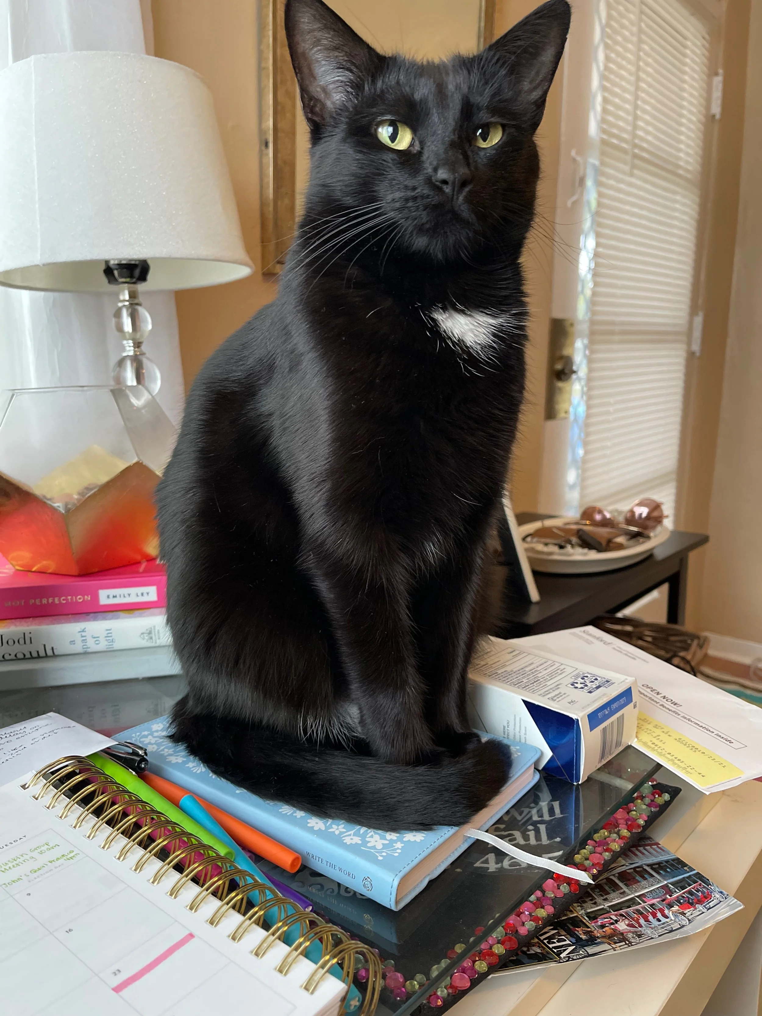 People — the hagler lab
