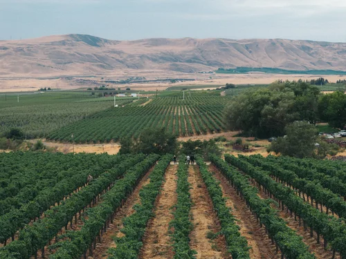 Hogue Cellars