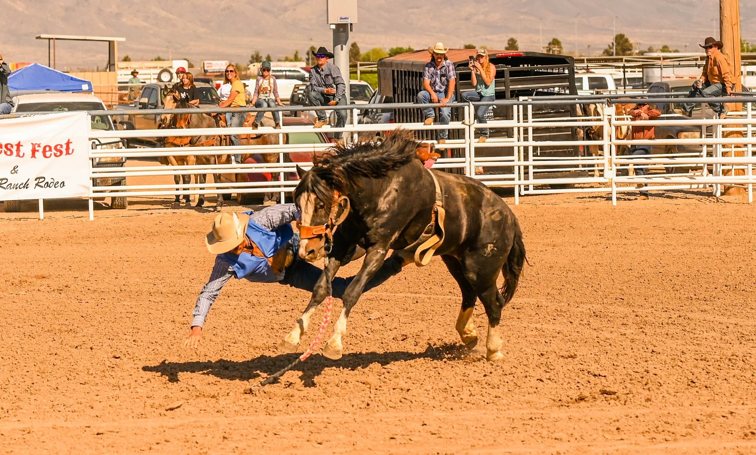 City Calendar — Willcox