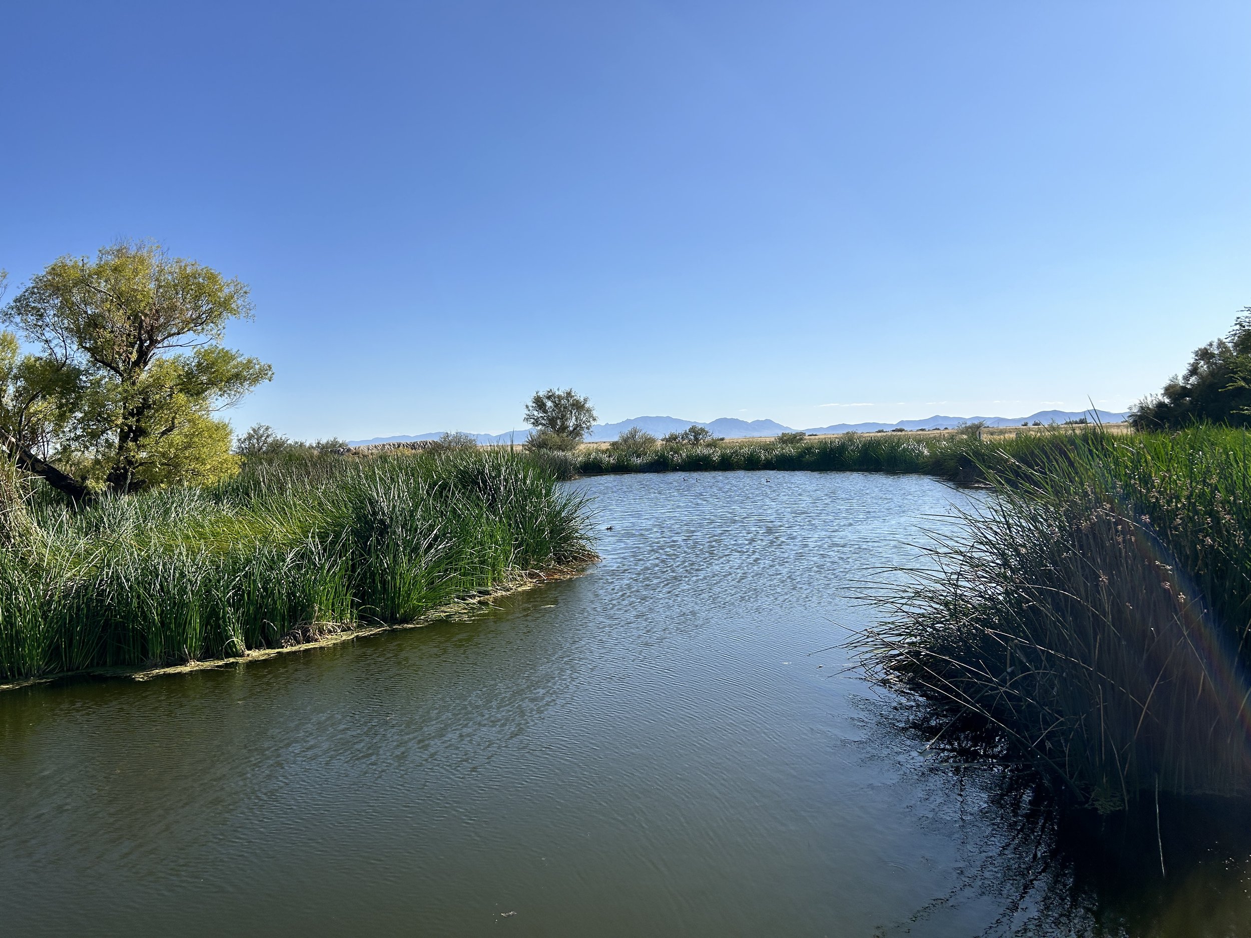 Parks & Facilities — Willcox