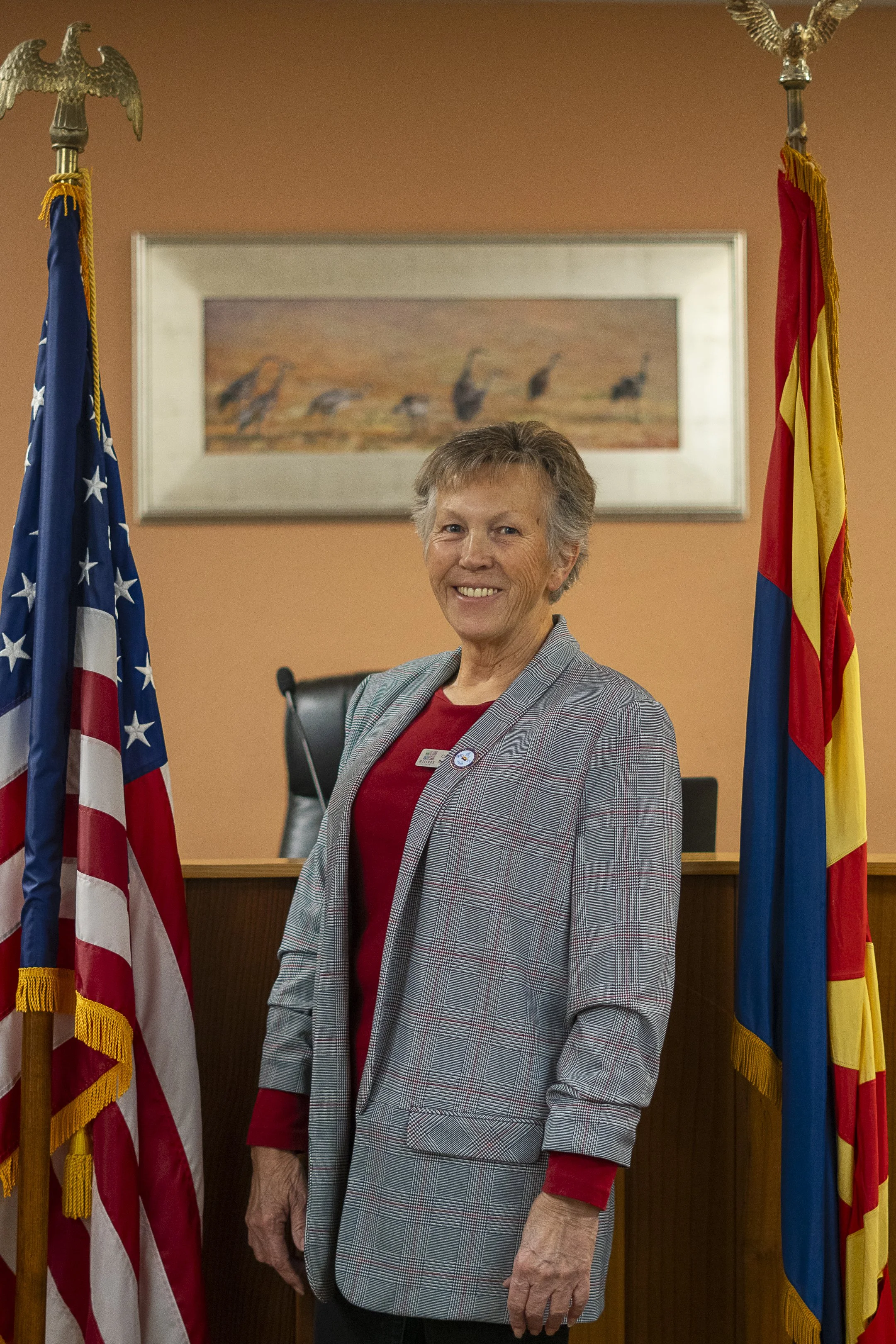 Council Members — Willcox