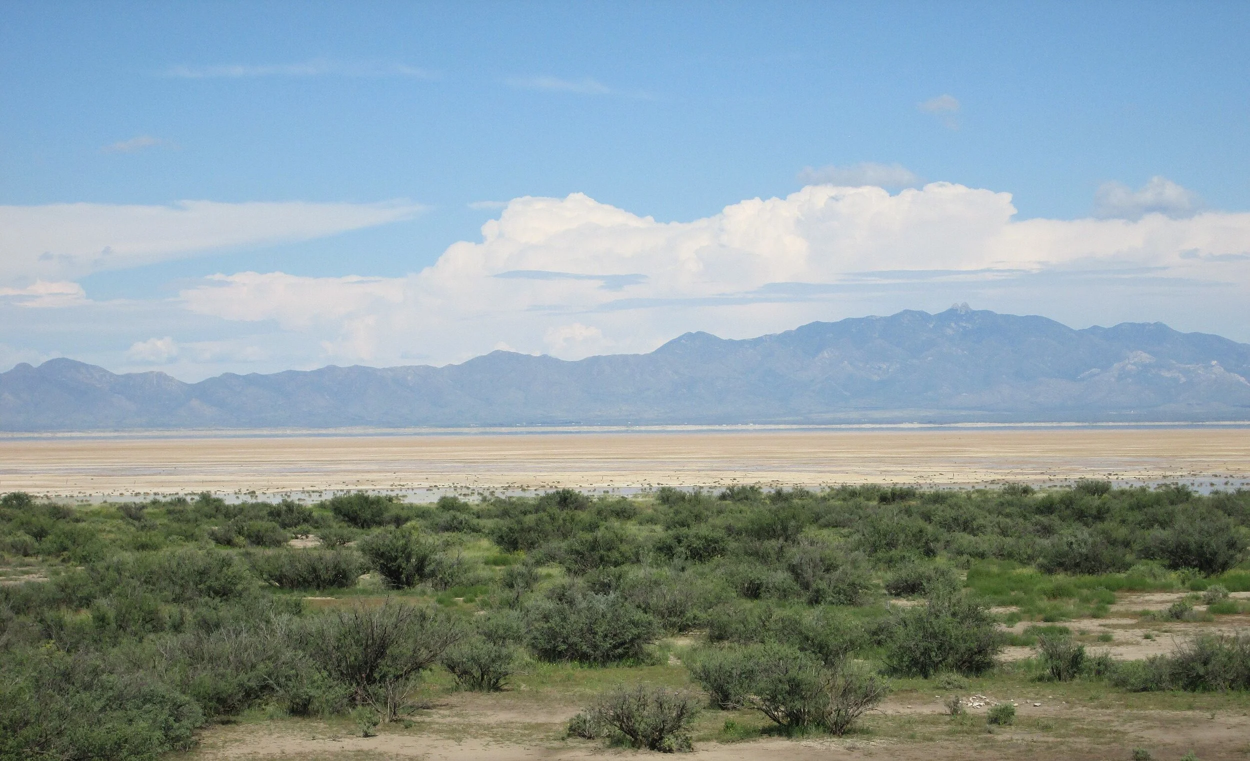 General Update — Willcox