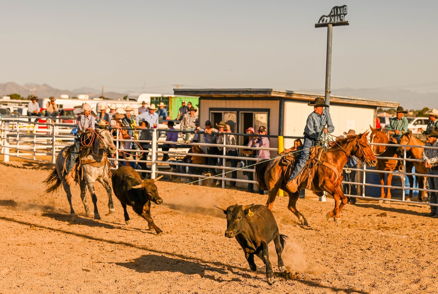 City Calendar — Willcox