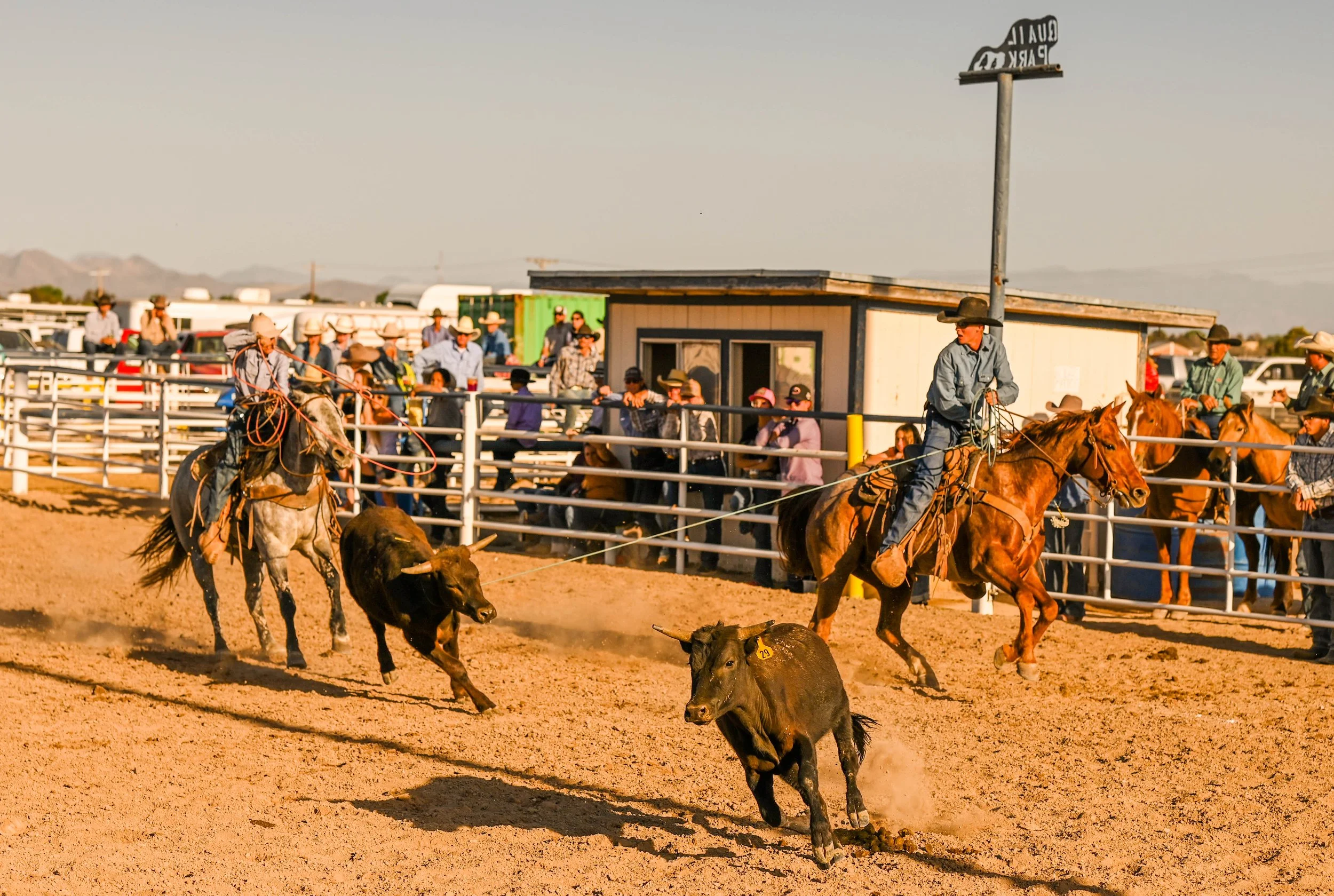 City Calendar — Willcox