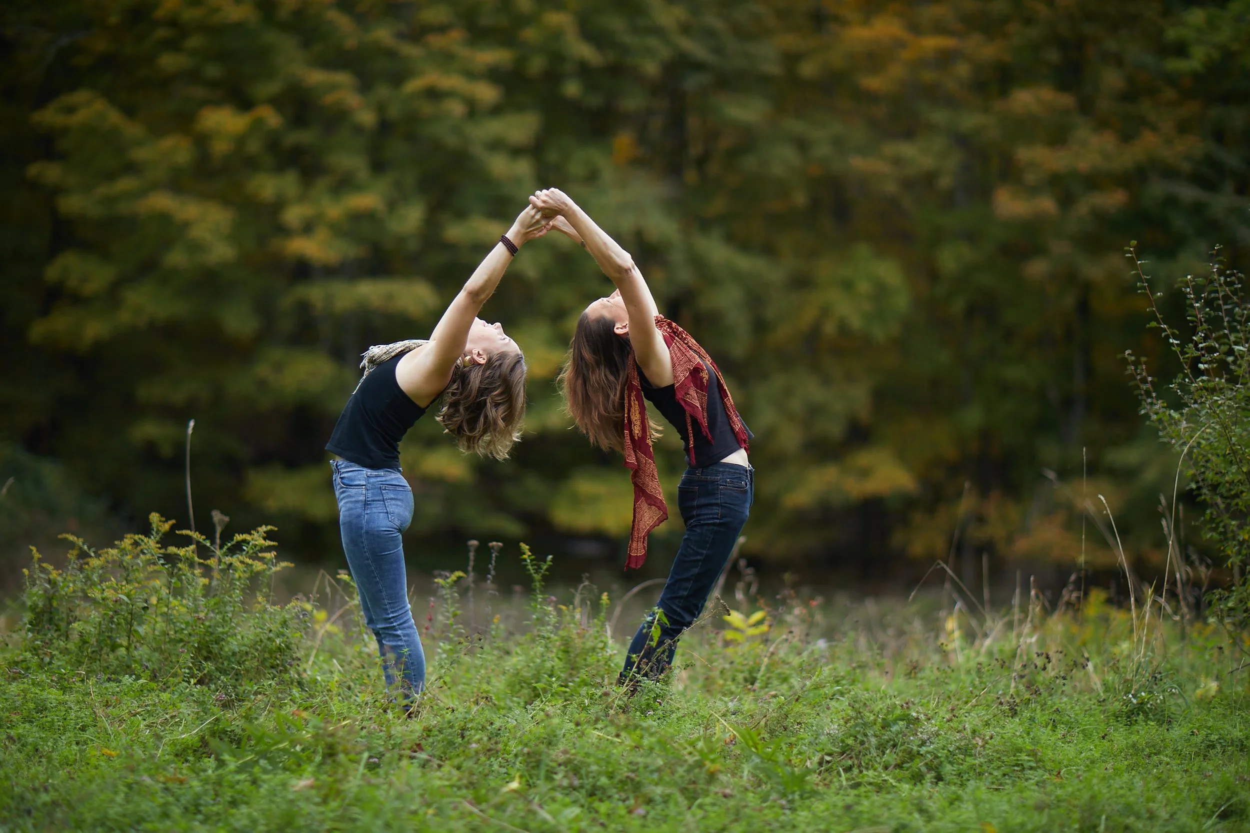 Wisdom Roots Wellness