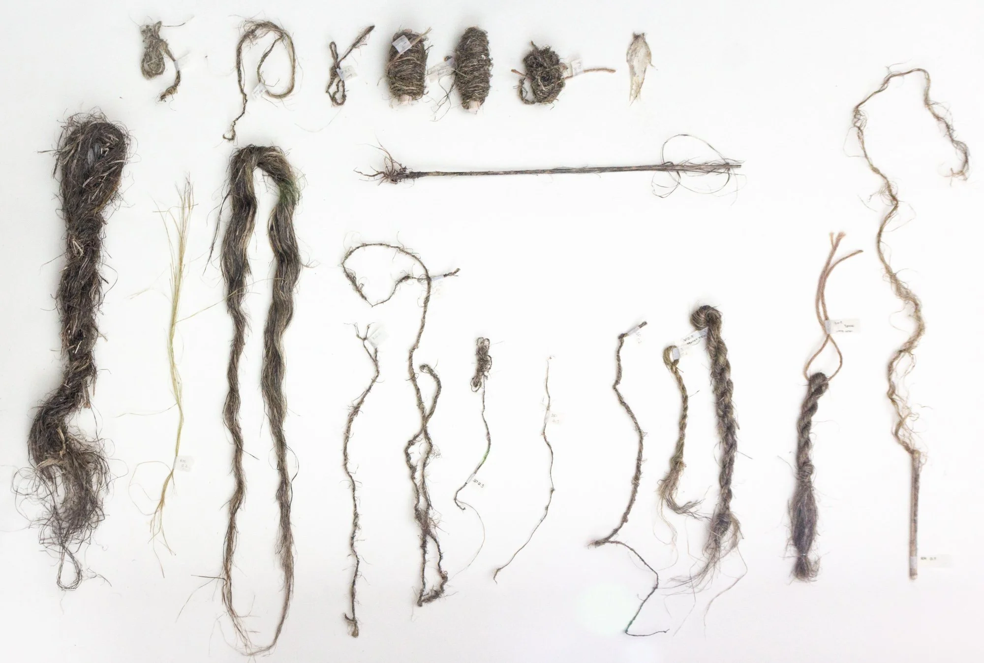 Studio Lotek - Material Research + Spatial Design