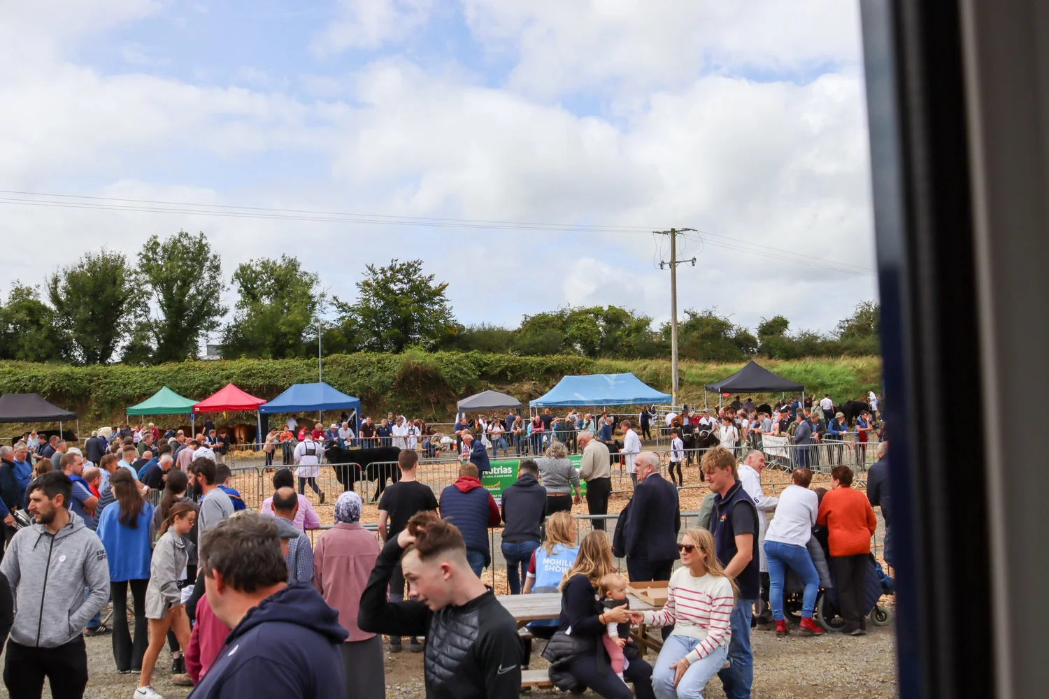 Mohill Agricultural Show