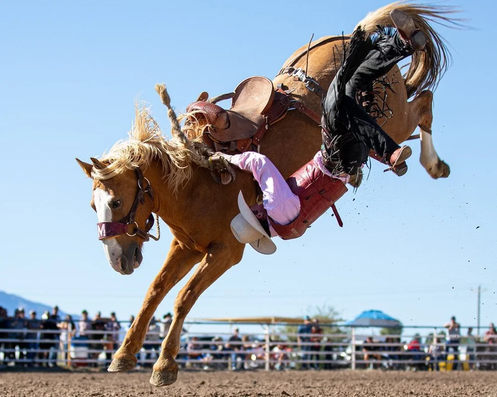 Events — Visit Willcox