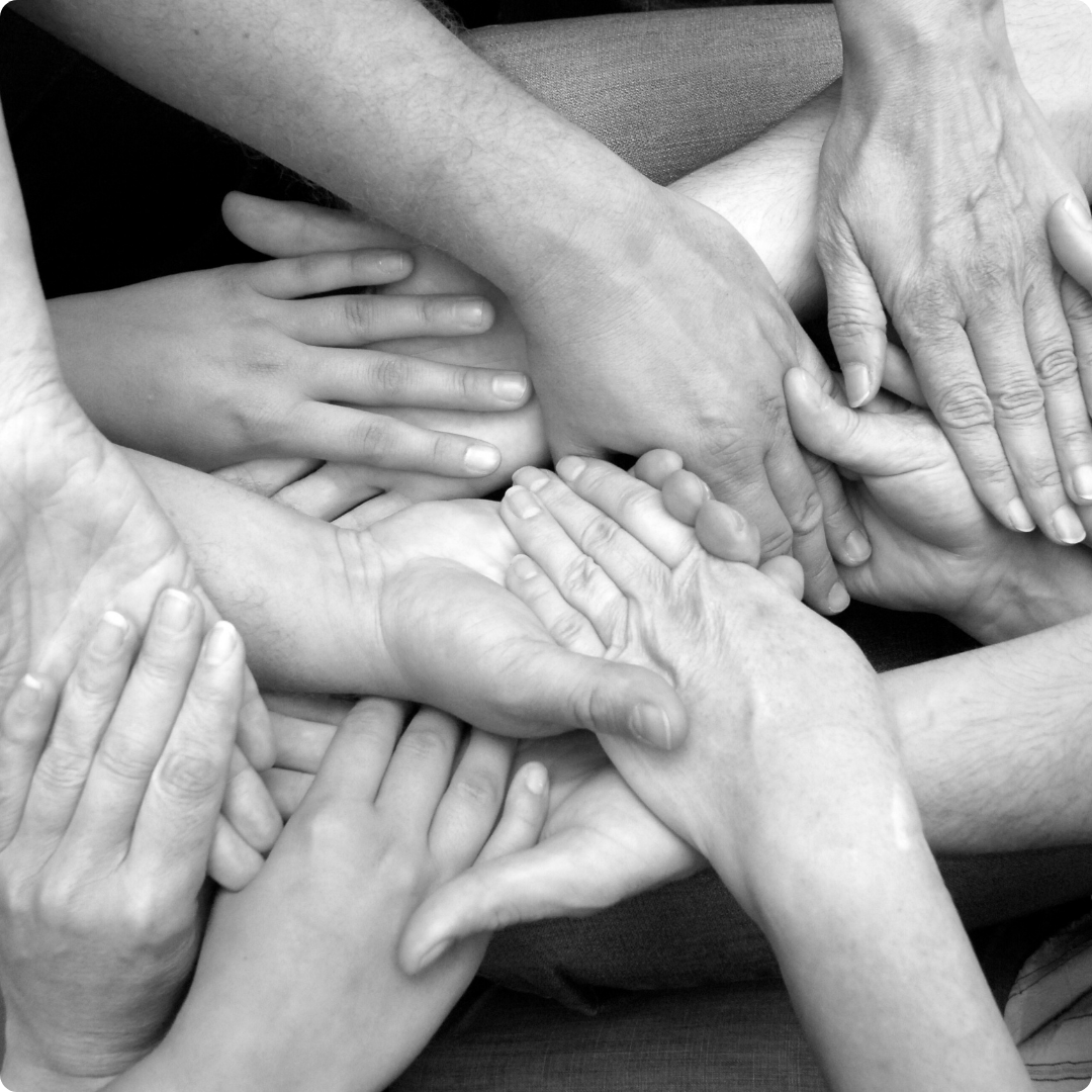 Focus Link Education