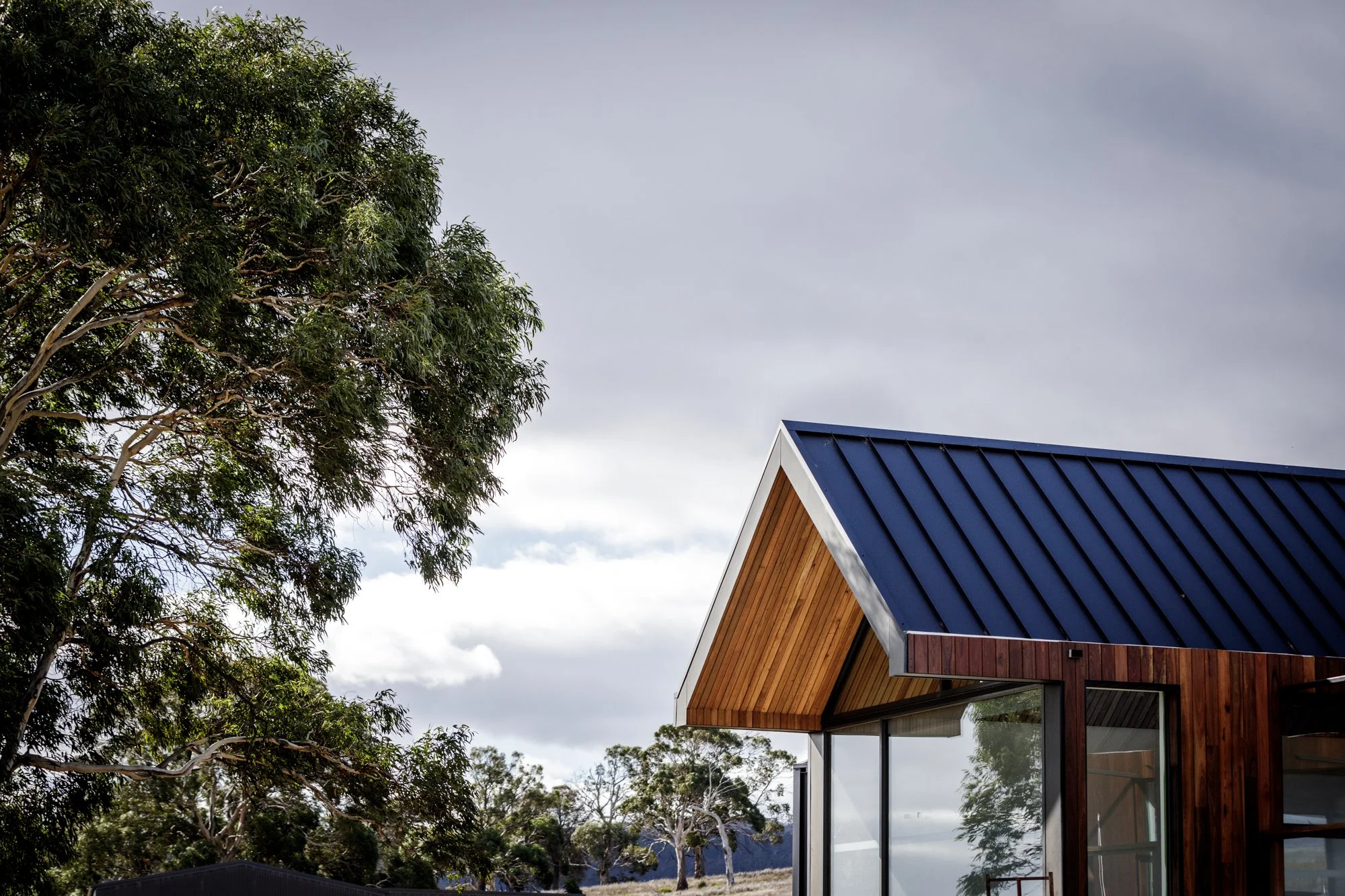 Caledon Estate Vineyard