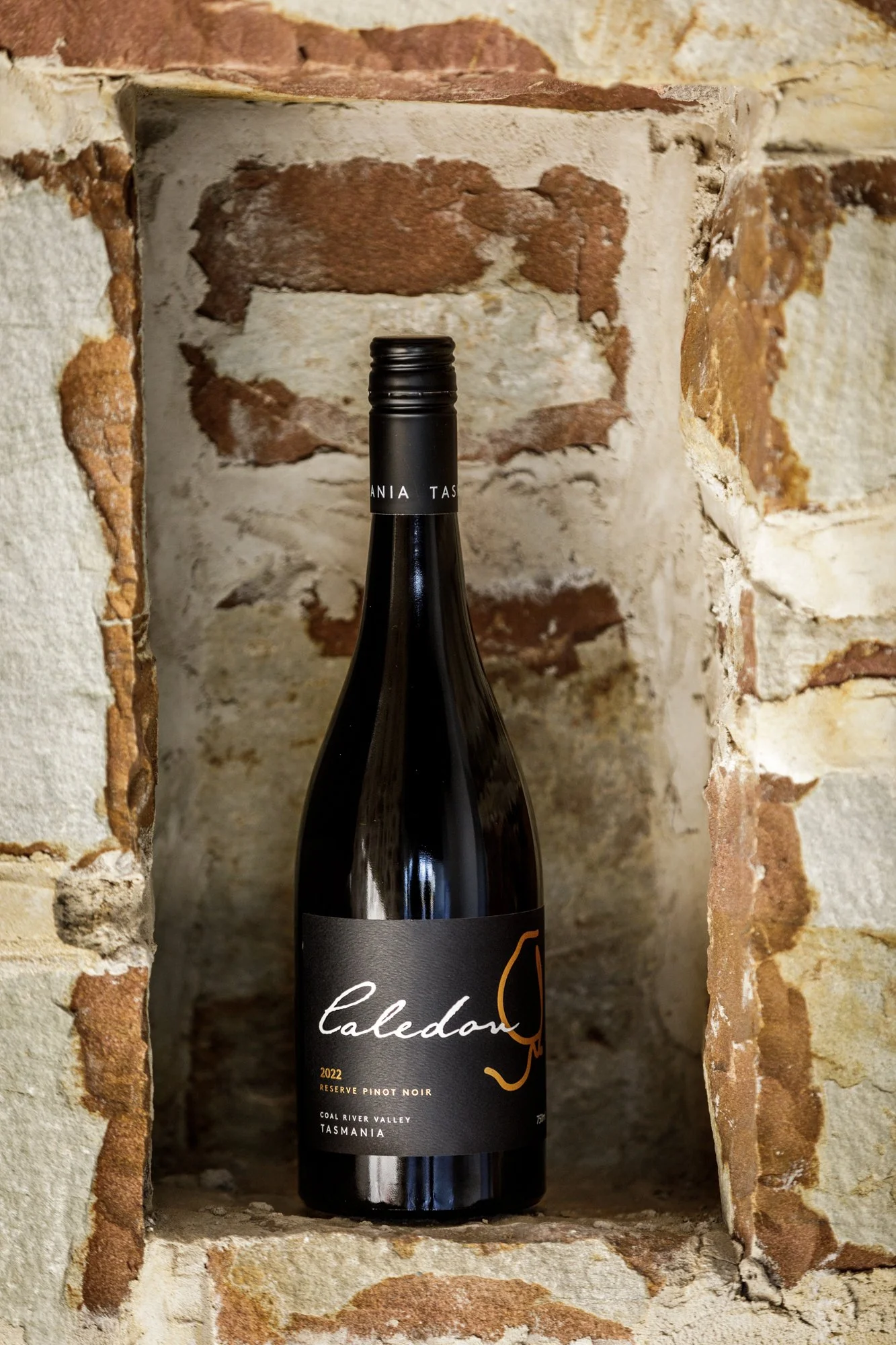 The Caledon Wine Club | Caledon Estate Vineyard