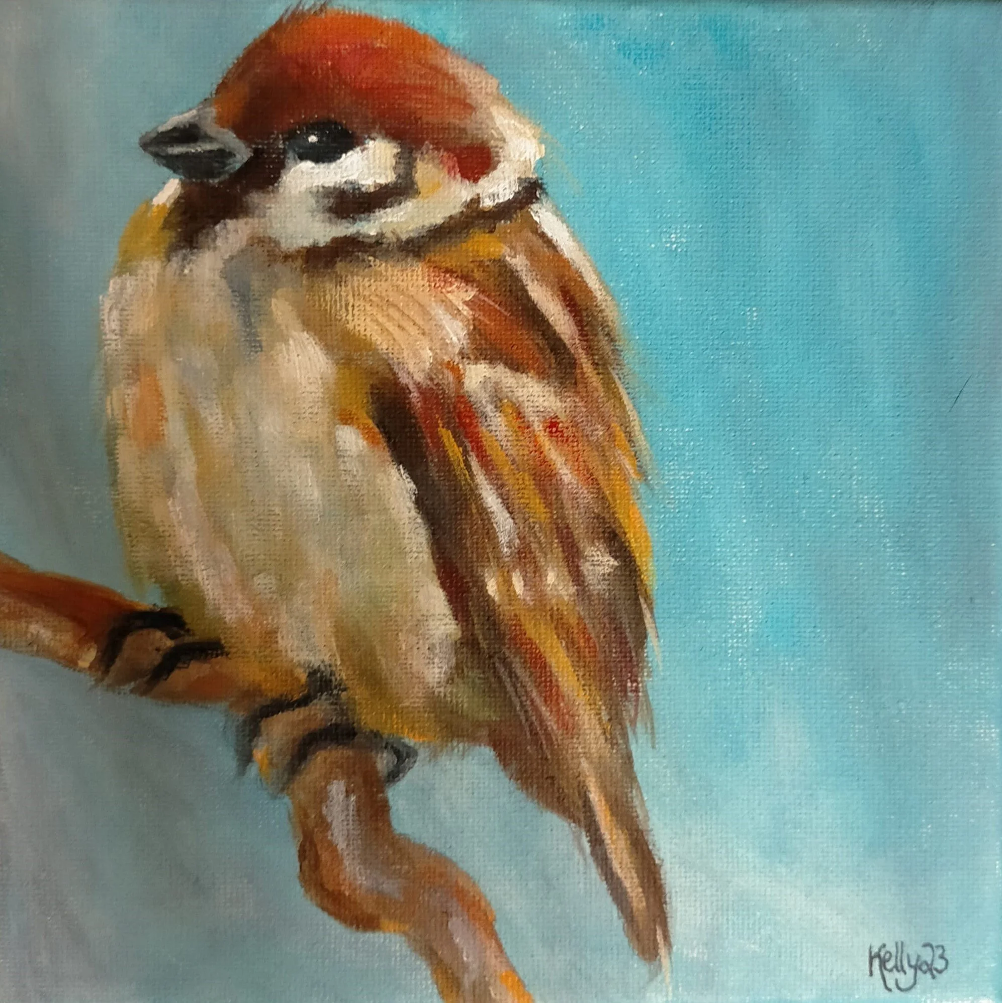 Kelly Smith - Artist. Devonport