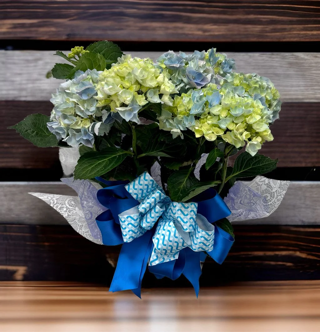Flo’s Min Florist
