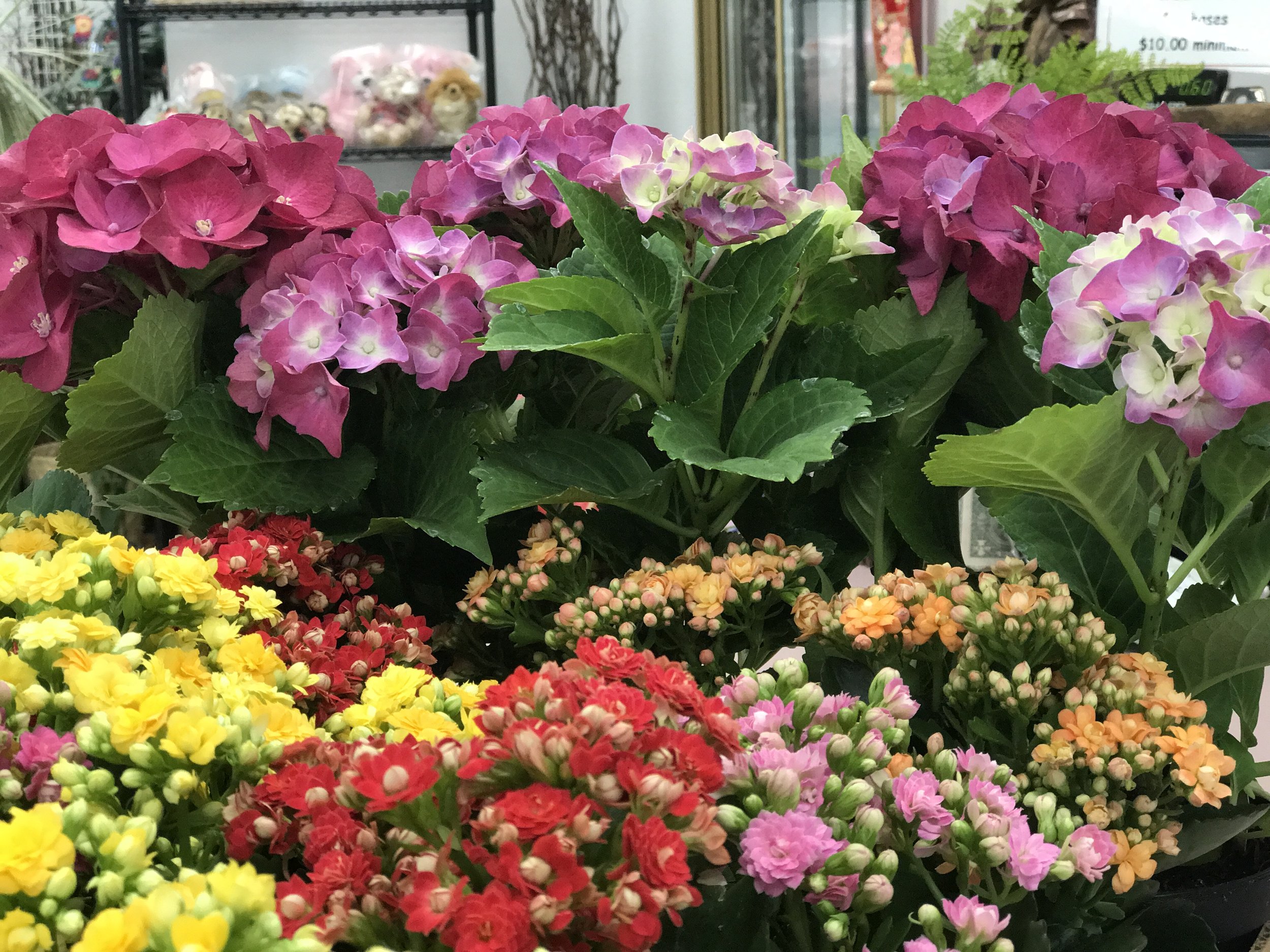All Photos — Flo’s Min Florist