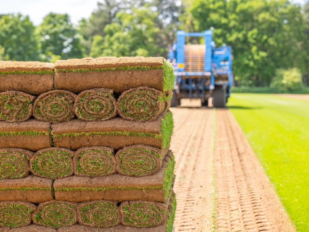 Our Turf — Sovereign Turf