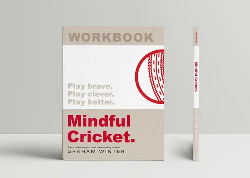 Insights & Articles — MindfulCricket