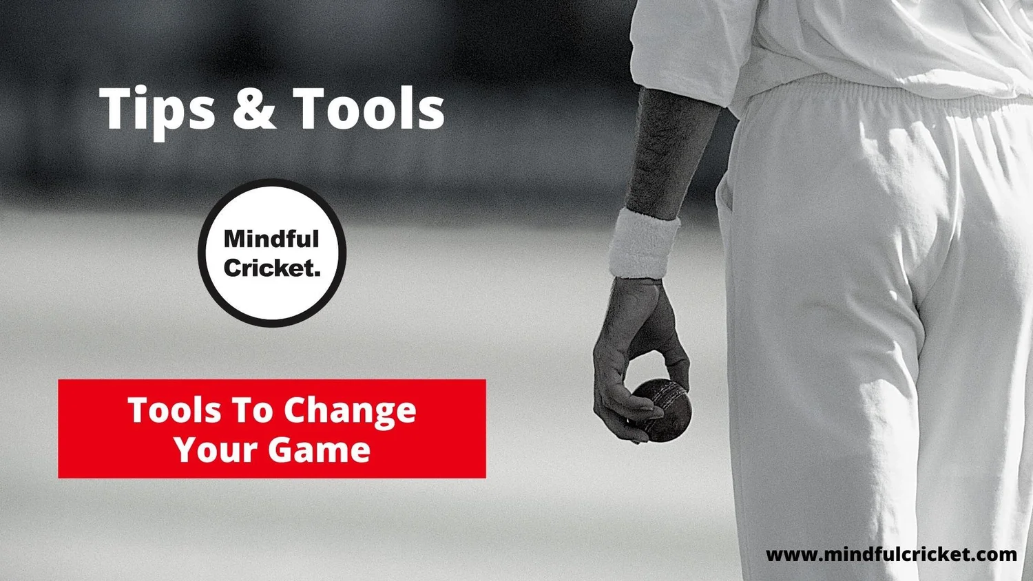 General 2 — MindfulCricket