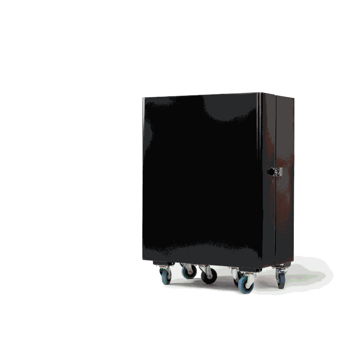 Classroom Mobile Library — Masixhasane